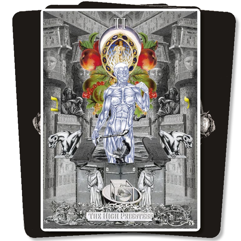 The Alchemical Visions Tarot door Arthur Taussig | Het Spirituele Warenhuis